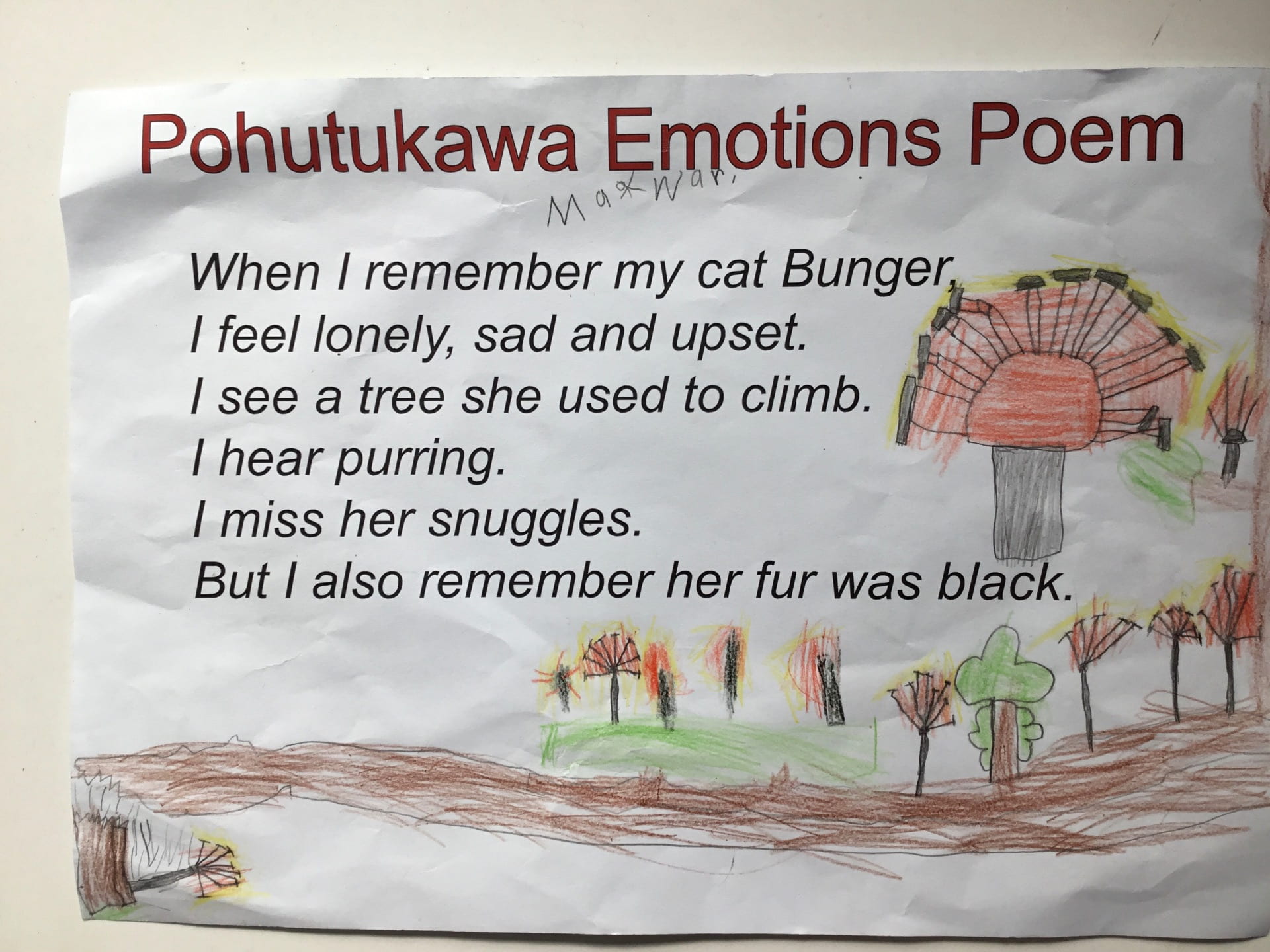 Pōhutukawa Poem – The Manaiakalani Network Blogging